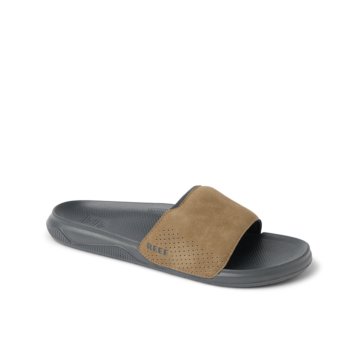 Mens Tail Slide-Black | MENS SLIDES | REEF AUSTRALIA